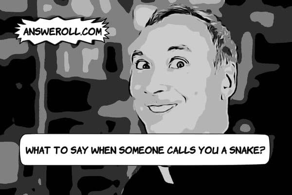 What to Say When Someone Calls You a Snake - Answeroll